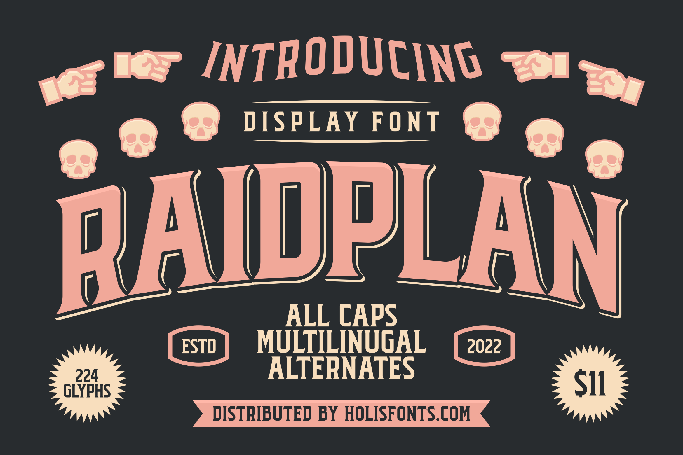 Raidplan Typeface - Holis Fonts
